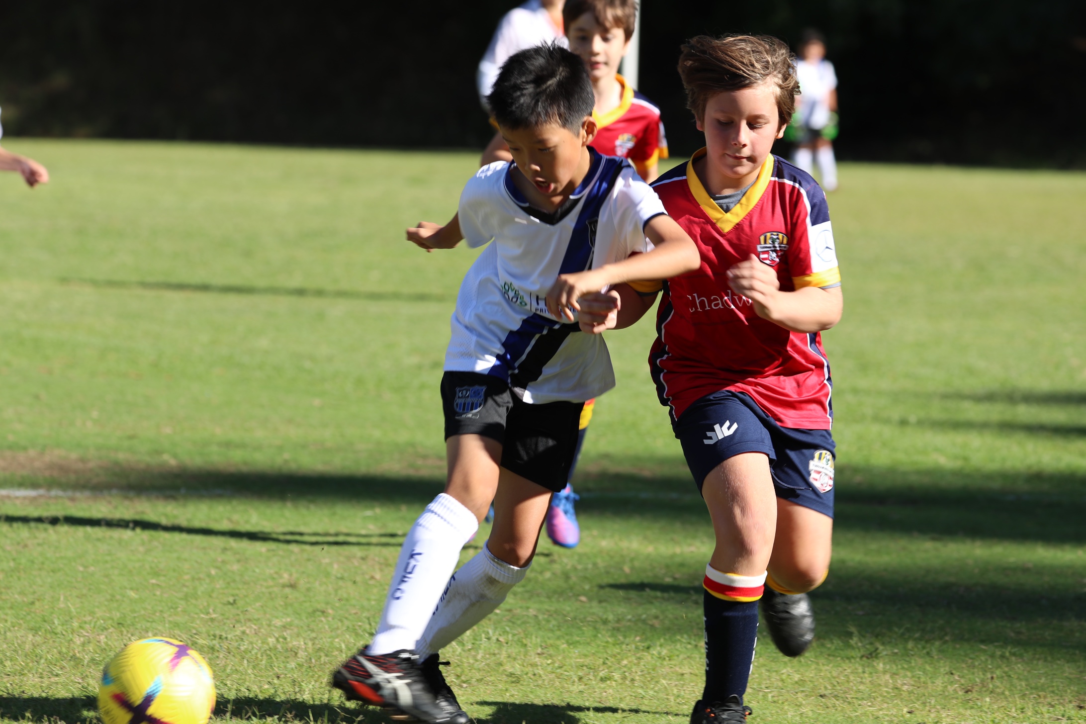 Mini-Roo Teams | Knox United FC